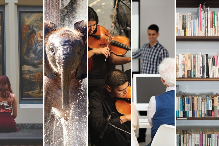 5 Engaging Activities While Social Distancing - Stowell Associates